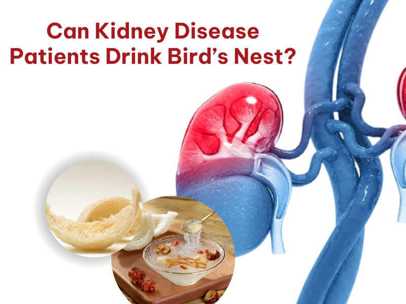 Can Kidney Disease Patients Drink Bird's Nest? Benefits and Important ...